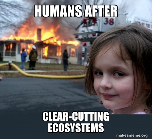 Humans after clear-cutting ecosystems - Disaster Girl Meme Generator