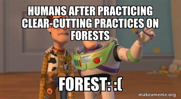Humans after practicing clear-cutting practices on forests Forest ...