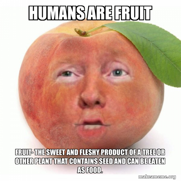 Humans are Fruit Fruit- the sweet and fleshy product of a tree or other ...