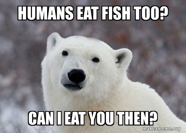 humans eat fish too? can i eat you then? - Popular Opinion Polar Bear ...