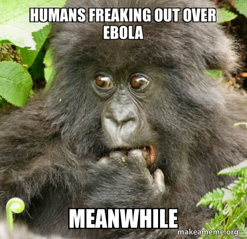 Humans freaking out over ebola meanwhile Meme Generator