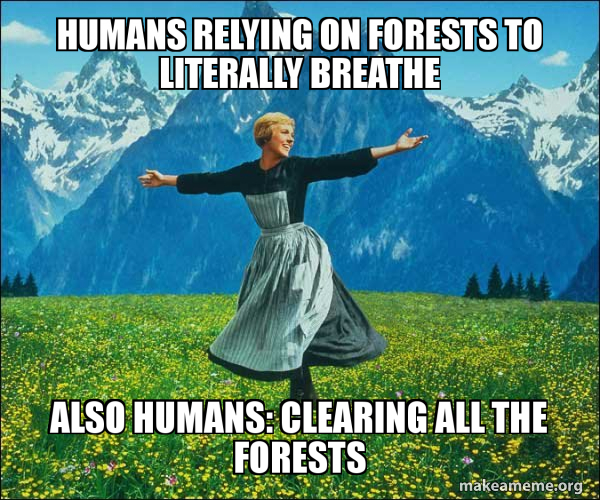 Humans relying on forests to literally breathe Also humans: clearing ...