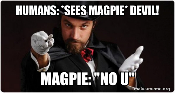Humans: *sees magpie* DEVIL! Magpie: "No u" - Magician (for my next ...