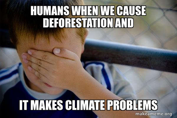 Humans when we cause deforestation and it makes climate problems ...