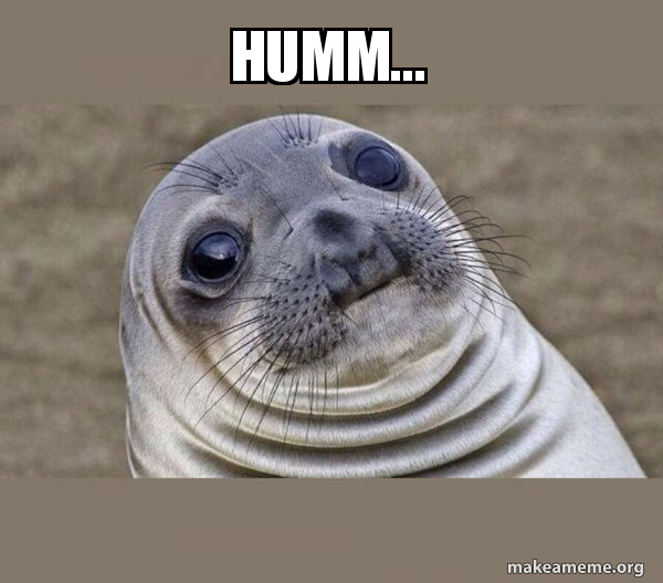 HUMM... - Squeamish Seal Meme Generator