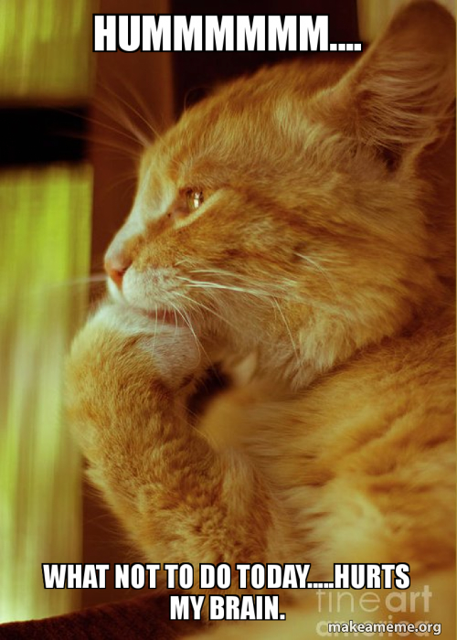 Hummmmmm.... What not to do today.....HURTS my brain. Meme Generator