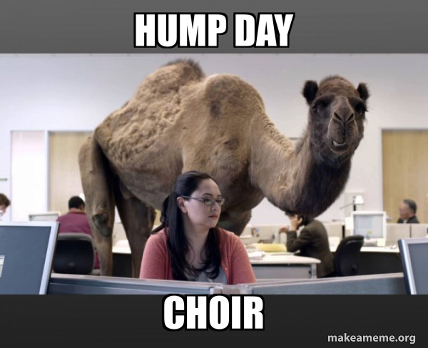 Hump Day Choir Hump Day Camel Meme Generator