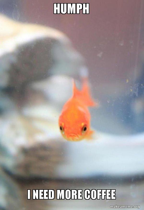 humph i need more coffee - Grumpy Fish Meme Generator