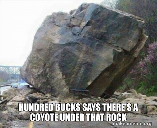 Hundred bucks says there's a coyote under that rock Meme Generator