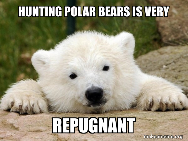 Hunting polar bears is very repugnant - Popular Opinion Bear Meme Generator