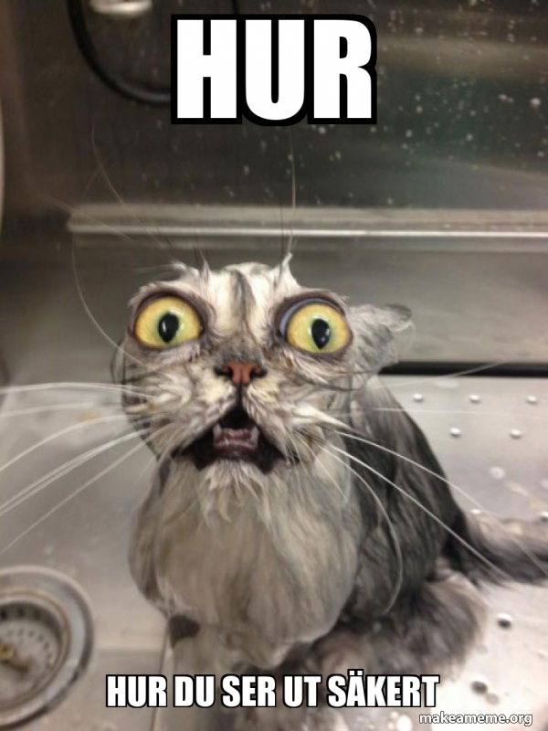 hur hur du ser ut säkert - Cat bath Meme Generator