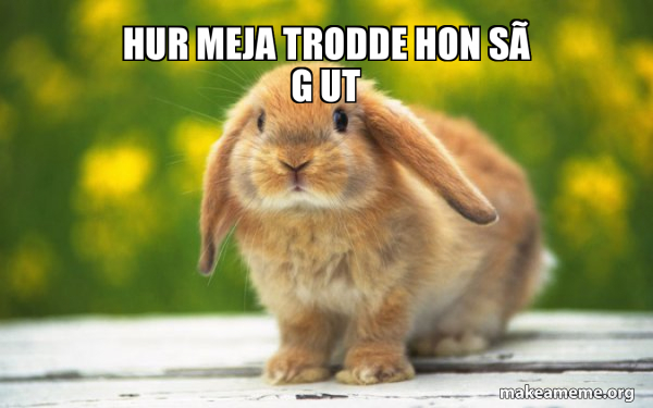 hur meja trodde hon sÃ¥g ut - Regretful Rabbit Meme Generator