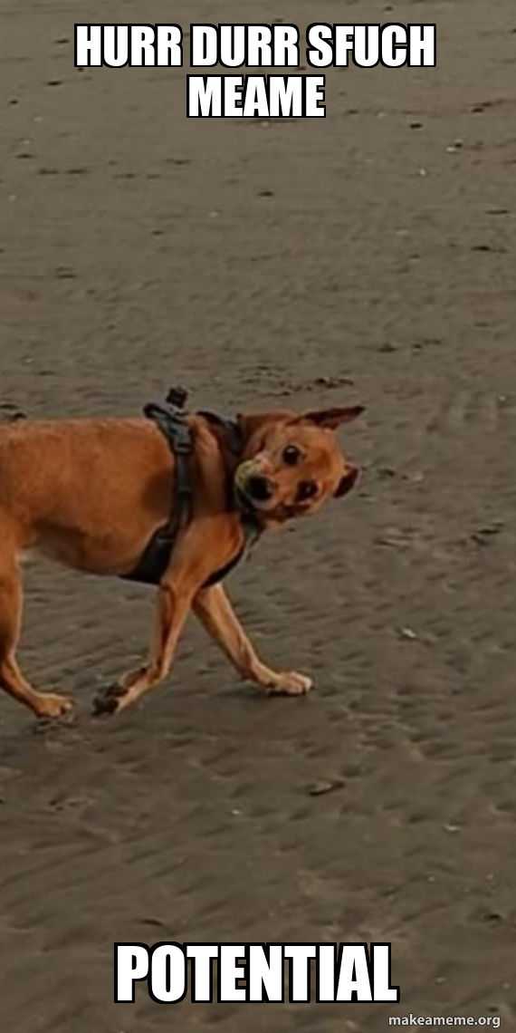 HuRr dUrR sfUcH mEaMe pOtENTiaL Meme Generator