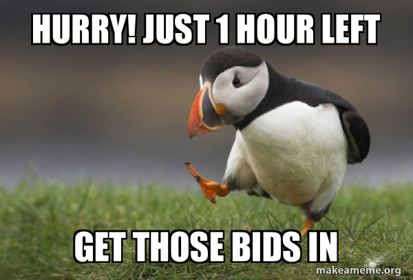 hurry! just 1 hour left get those bids in - Unpopular Opinion Puffin ...
