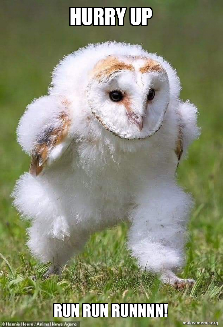 hurry up run run runnnn! Meme Generator