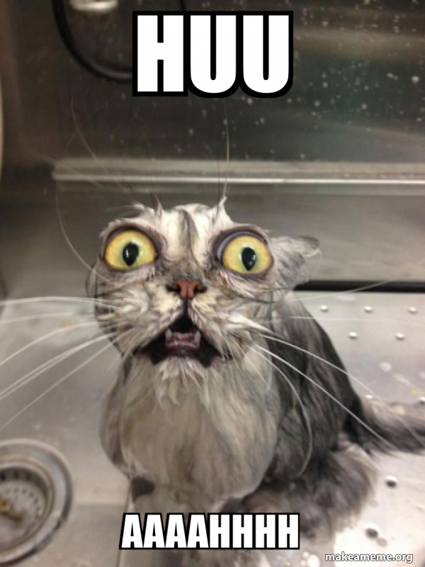 huu aaaahhhh - Cat bath Meme Generator