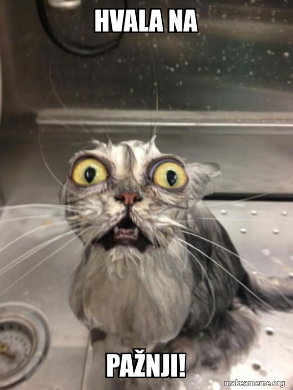 Hvala na Pažnji! - Cat bath Meme Generator