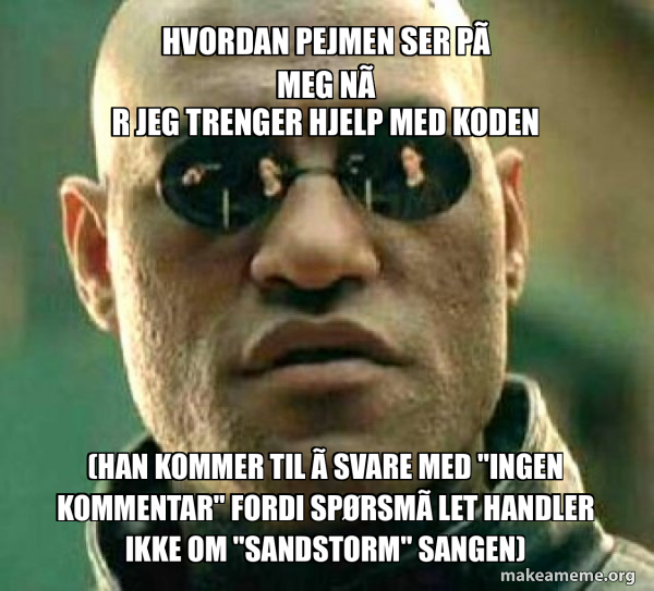 Hvordan Pejmen ser på meg når jeg trenger hjelp med koden (Han kommer ...