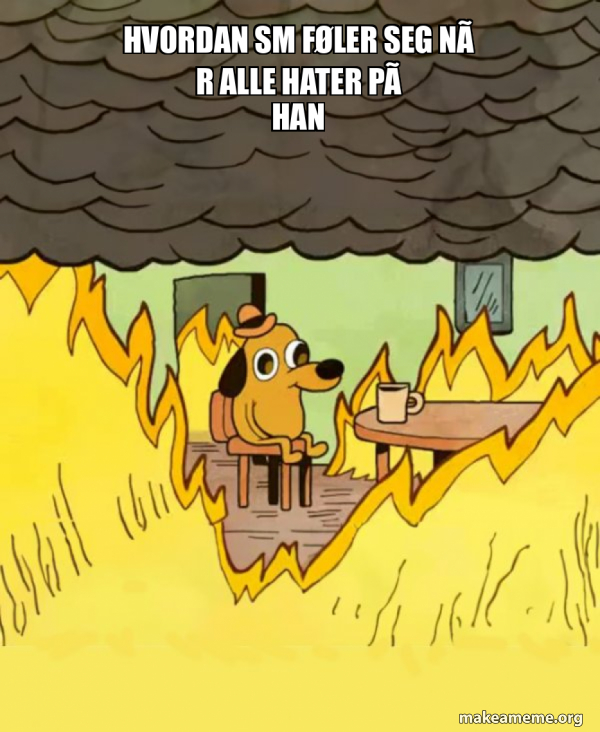 Hvordan Sm føler seg når alle hater på han - This Is Fine Meme Generator