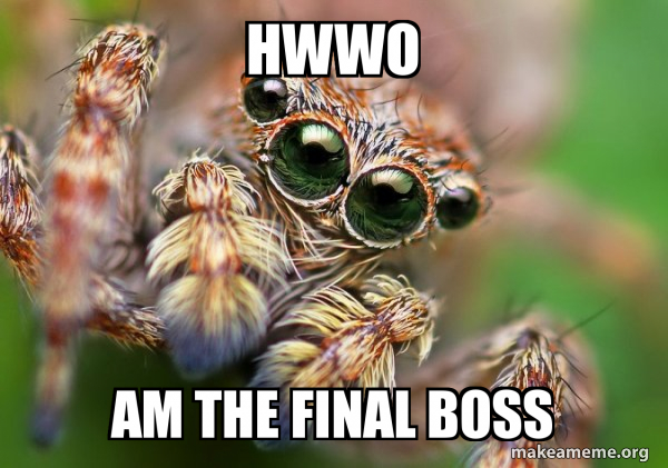 hwwo am the final boss - Hipster Spider Meme Generator