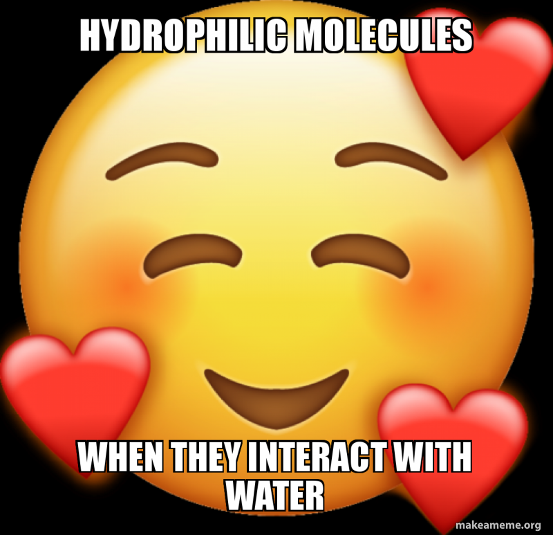 Hydrophilic Molecules when they interact with water Meme Generator