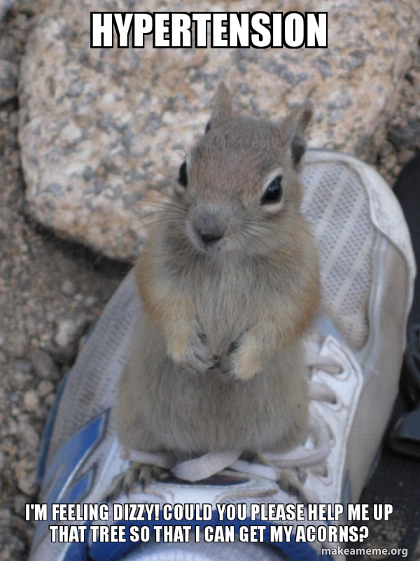 Hypertension I'm feeling dizzy! Could you please help me up that tree ...