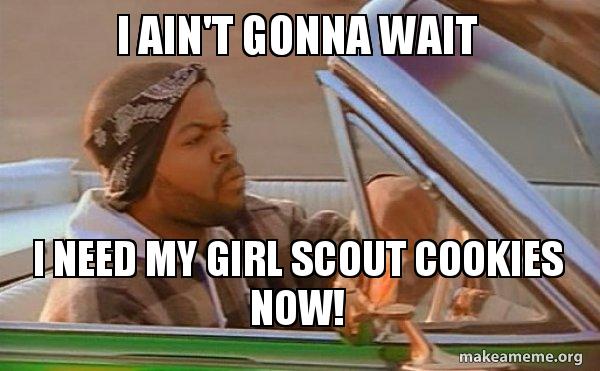 Girl Scout Memes Very Clever , Follow @Meme.Twain For More