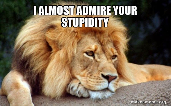 I almost admire your stupidity - Confession Lion Meme Generator