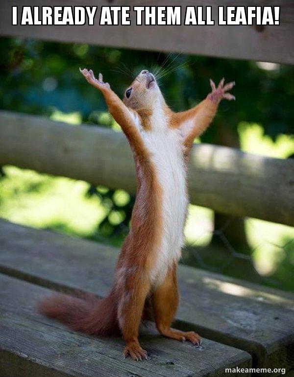 I ALREADY ATE THEM ALL LEAFIA! - Happy Squirrel Meme Generator