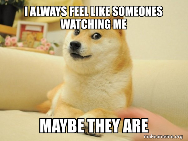 i always feel like someones watching me maybe they are - Doge Meme ...