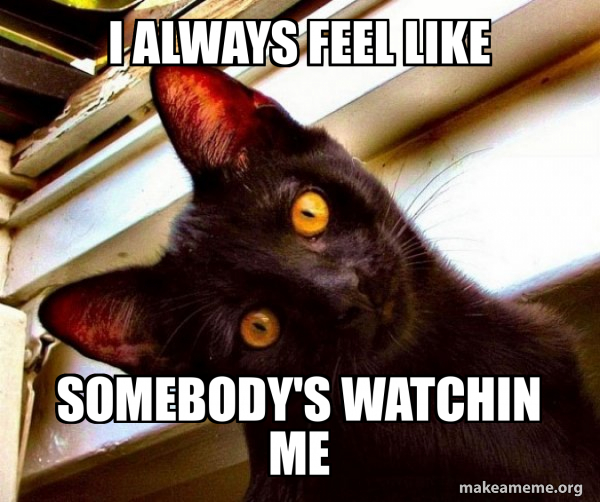 I always feel like somebody's watchin me - Overly Attached Cat Meme ...