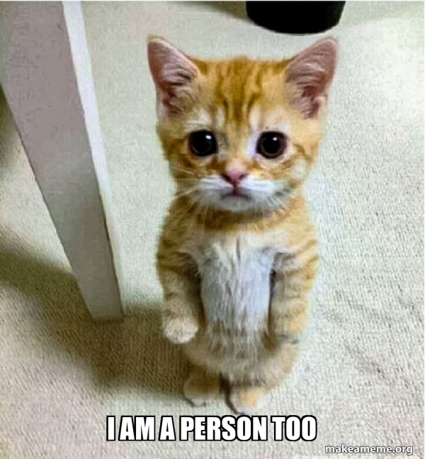 I am a person too - Cute Cat Standing Meme Generator