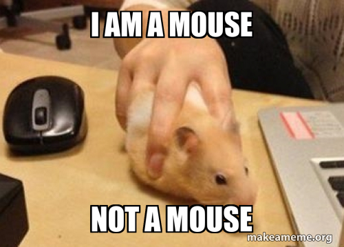 I am a mouse not a mouse Meme Generator