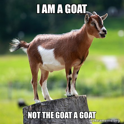I am a goat Not The goat a goat - A goat Meme Generator
