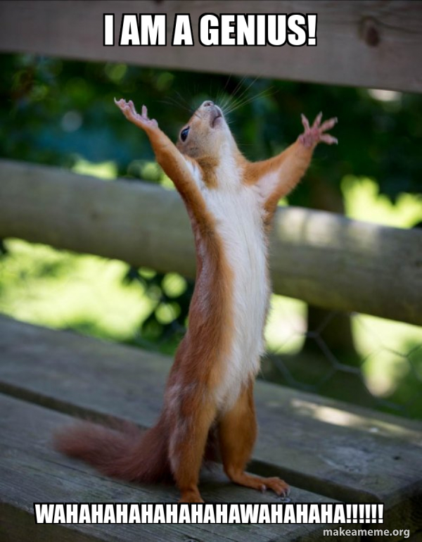 I AM A GENIUS! WAHAHAHAHAHAHAHAWAHAHAHA!!!!!! - Happy Squirrel Meme ...