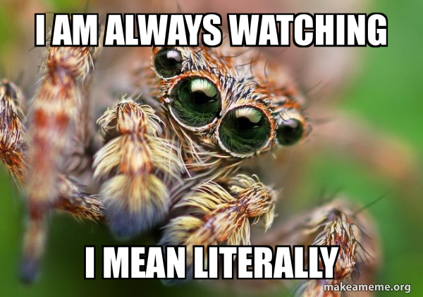 I am always watching I mean literally - Hipster Spider Meme Generator