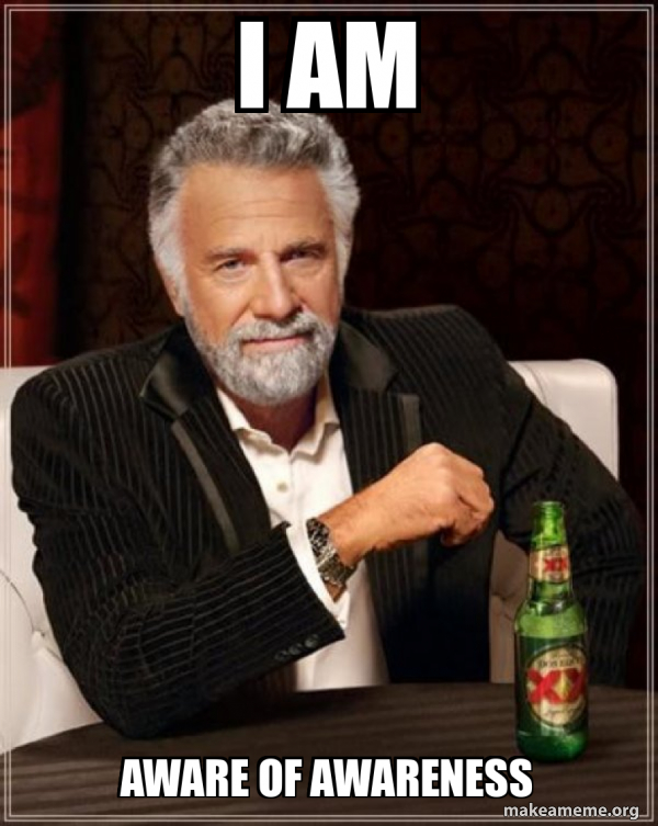 I am Aware of awareness - The Most Interesting Man in the World Meme ...