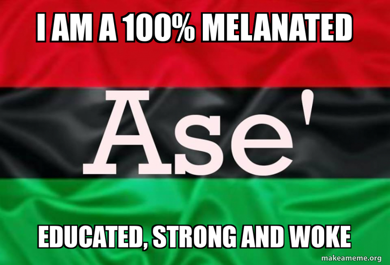 I AM A 100% MELANATED EDUCATED, STRONG AND WOKE Meme Generator