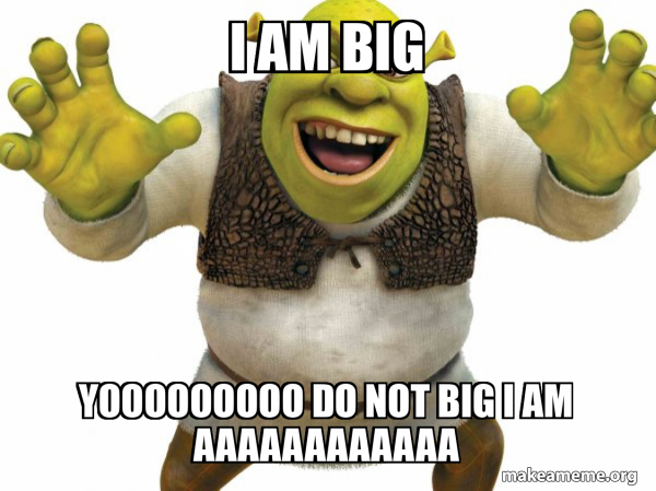 I am big yooooooooo do not big i am AAAAAAAAAAAA - Shrek Meme Generator