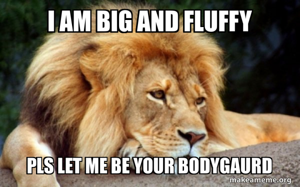 i am big and fluffy pls let me be your bodygaurd - Confession Lion Meme ...