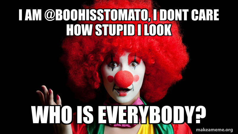 I am @BooHissTomato, I DONT CARE HOW stupid I LOOK WHO IS everybody ...