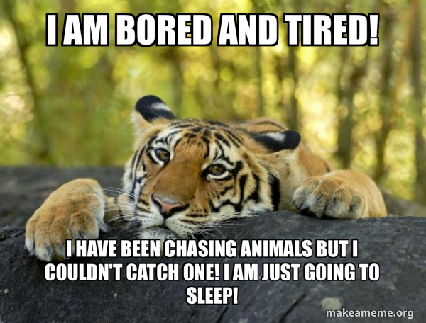 I am bored and Tired! I have been chasing animals but i couldn't catch ...