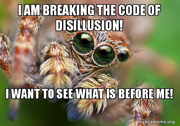 I am breaking the code of disillusion! I want to see what is before me ...