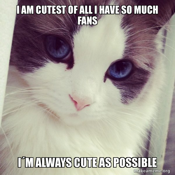 i am cutest of all i have so much fans iÂ´m always cute as possible ...
