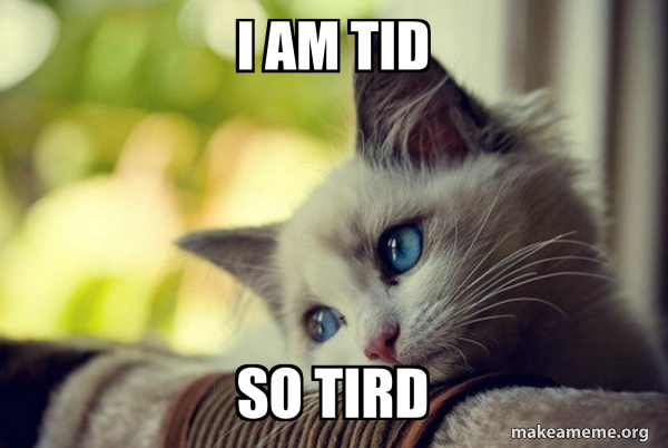 i am tid so tird - First World Cat Problems Meme Generator