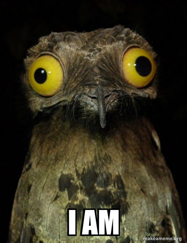 i am - Weird Stuff I do Potoo Meme Generator