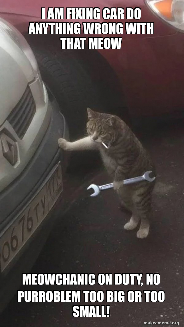 Small Car Memes Why Aren't There Small Cars In The US Anymore???" : R