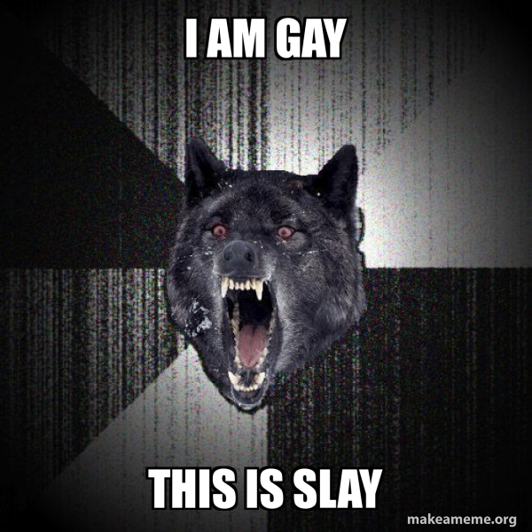 I AM GAY THIS IS SLAY - Insanity Wolf Meme Generator