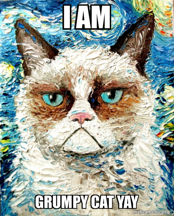 I AM grumpy cat yay - Vincent Van No - Grumpy Cat Meme Generator