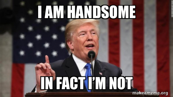 I am handsome In fact Iâ€™m not - Donald Trump Meme Generator